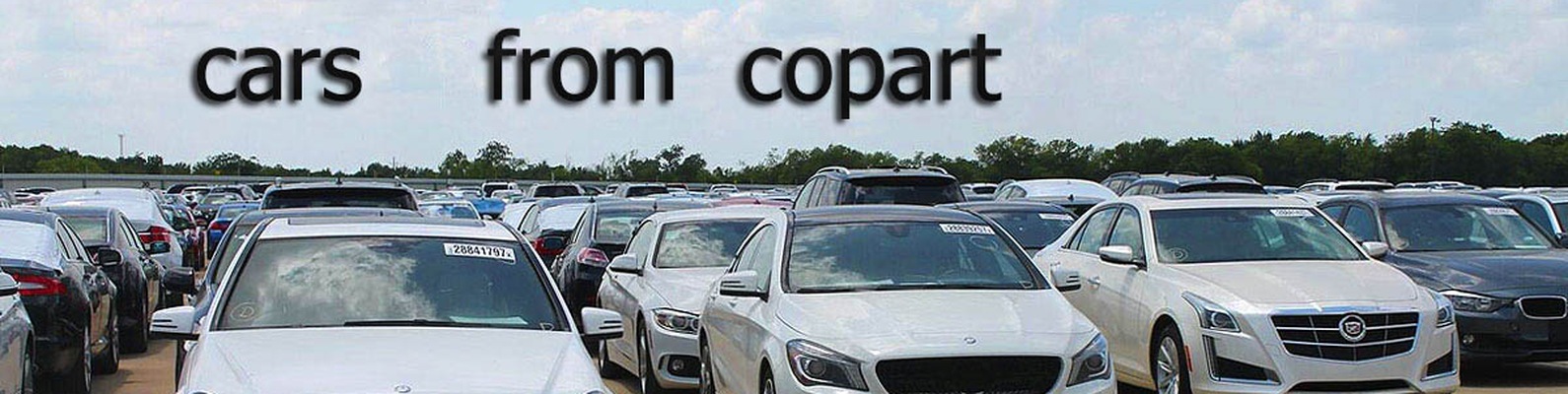 cars from copart | Мы не занимаемся продажей/покупкой. 2025 | ВКонтакте
